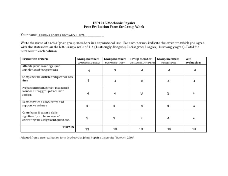 FSP1015 Peer Evaluation Groups Assignment | PDF