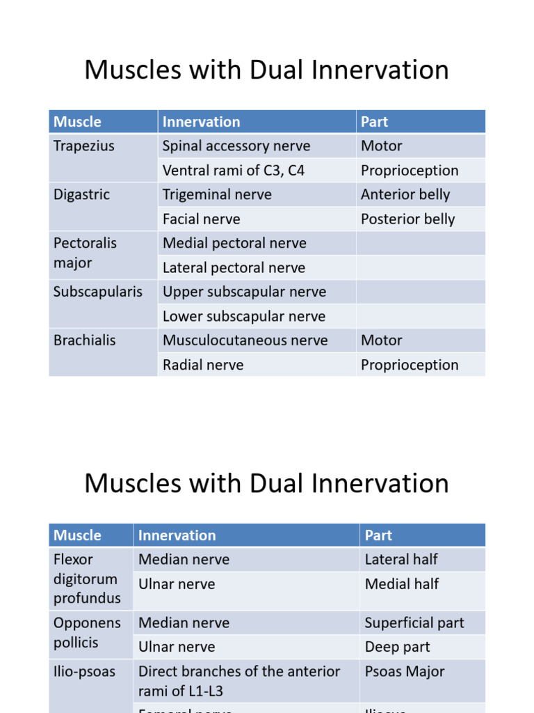 Scribd 005-006 Muscles With Dual Innervation | PDF | Self-Improvement ...
