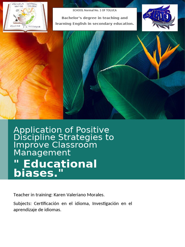 Application of Positive Discipline Strategies to | PDF | Disciplines ...