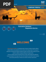 Company Profile: Wardiere Inc | PDF | Audit | Consultant