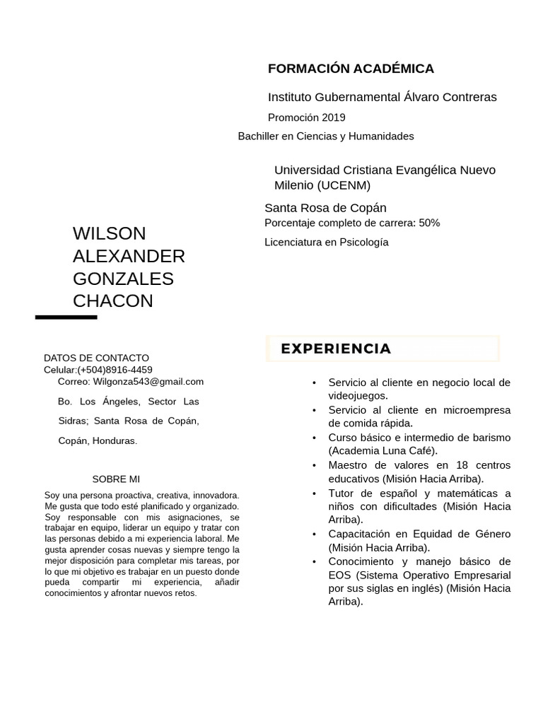 CV de Wilson Gonzales Chacón | PDF