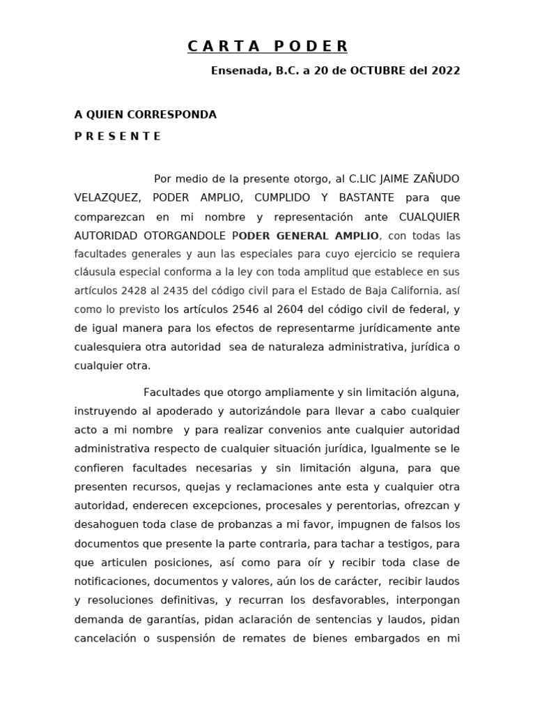 Carta Poder General | PDF | Gobierno | Justicia