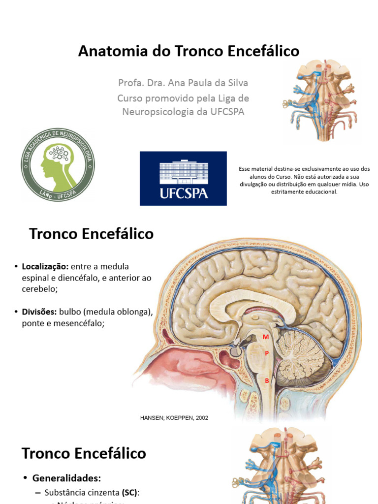 Aula 2 Anatomia Do Tronco Encefálico | PDF | Neurociência | Cérebro