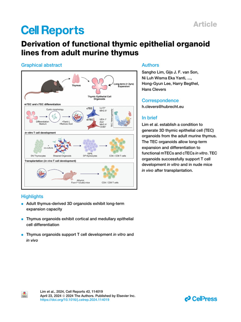 Derivation of Functional Thymic Epithelial Organoid Lines From Adult Murine Thymus | PDF ...