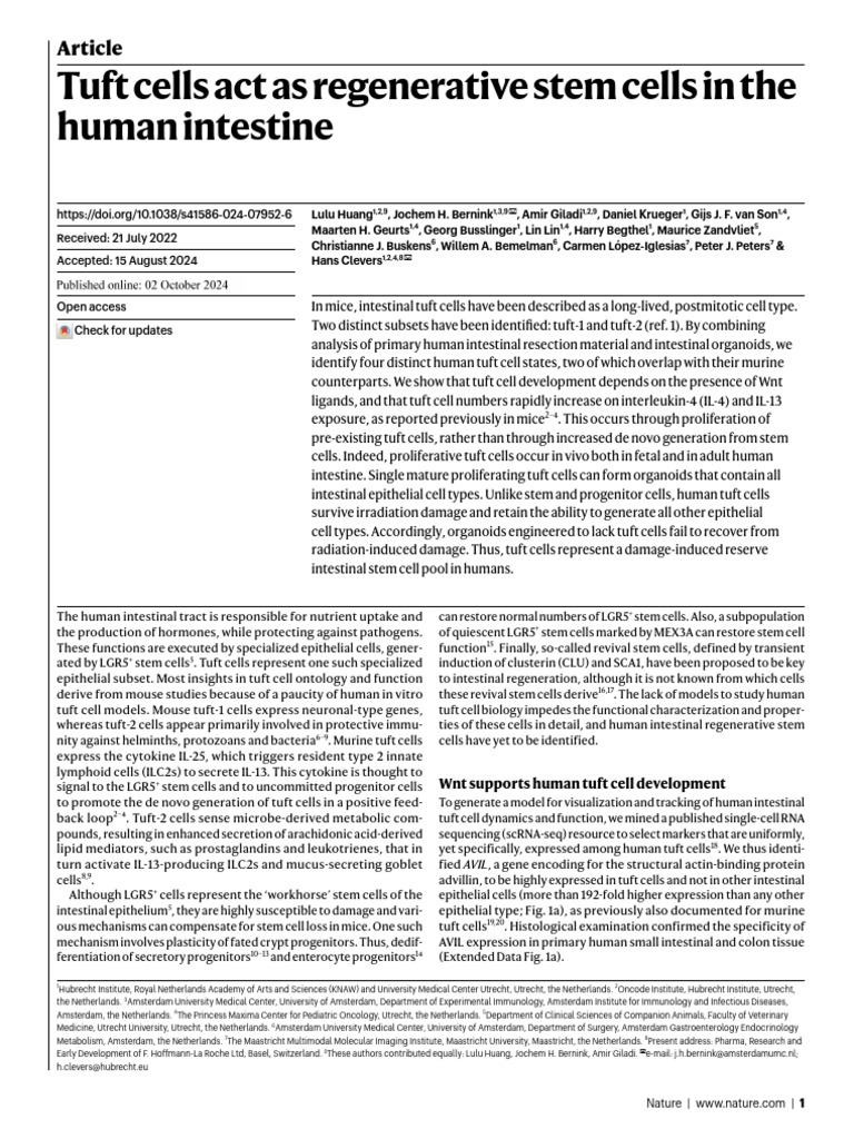 Tuft Cells Act As Regenerative Stem Cells in The Human Intestine | PDF ...
