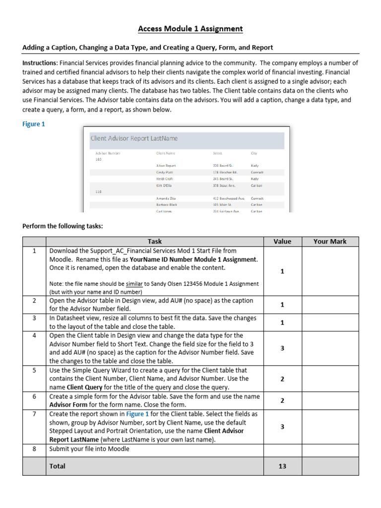 Access Module 1 Assignment | PDF | Databases | Data Management Software