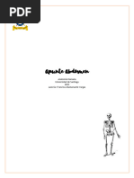LOCALIZACI+ôN DE ESTRUCTURAS ANAT+ôMICAS. Cavidades Corporales. | PDF | Abdomen | Tórax