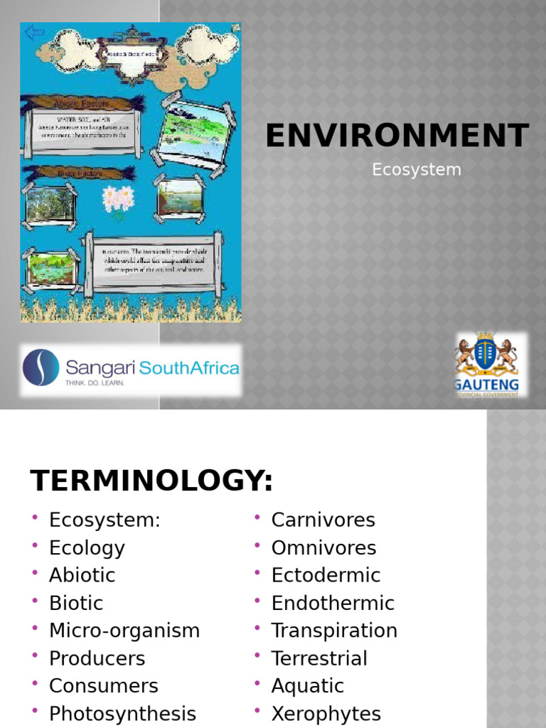 Environment Abiotic and Biotic Factors | PDF | Ecosystem | Soil