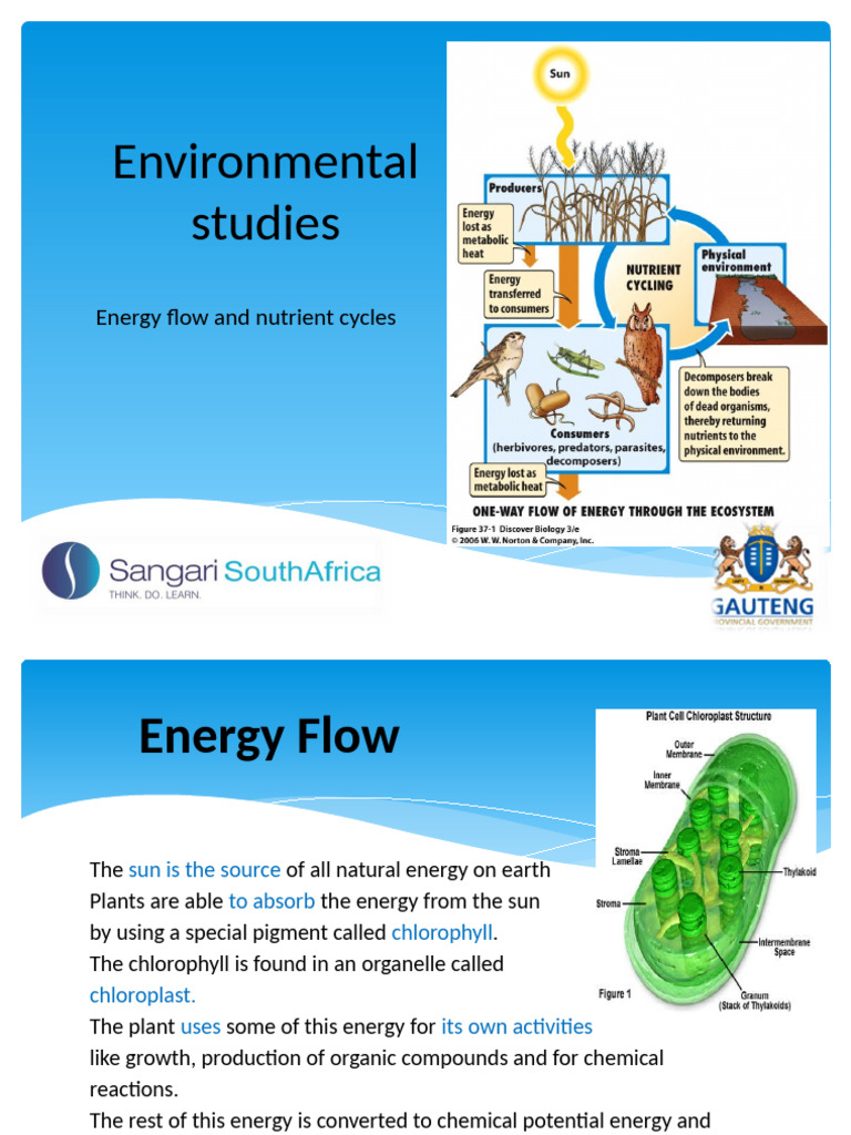 Energy Flow And Nutrient Cycles Pdf Food Web Water