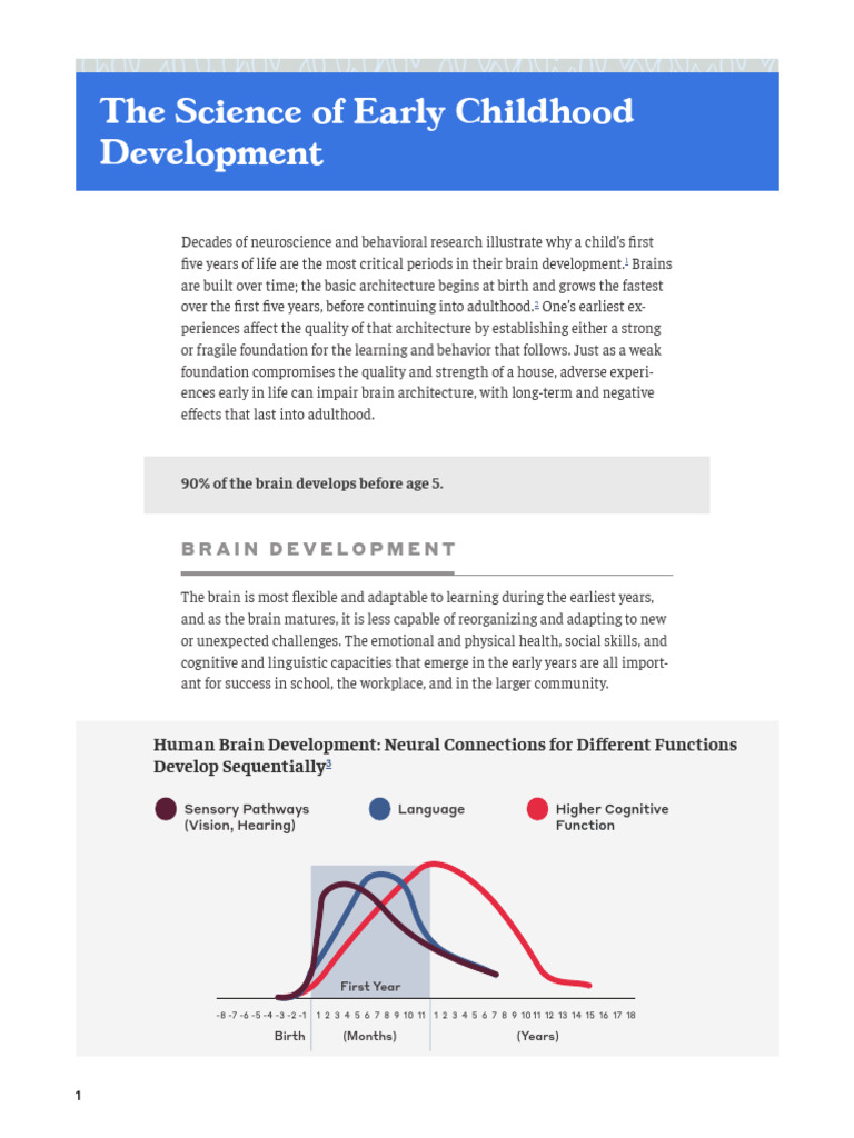 Child Development and Psychology Notes | PDF | Brain | Learning