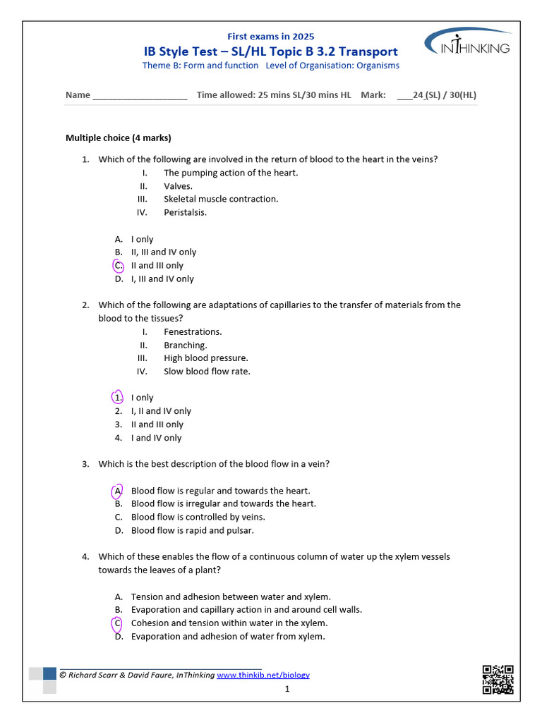 B3.2 Transport | PDF | Heart | Vein