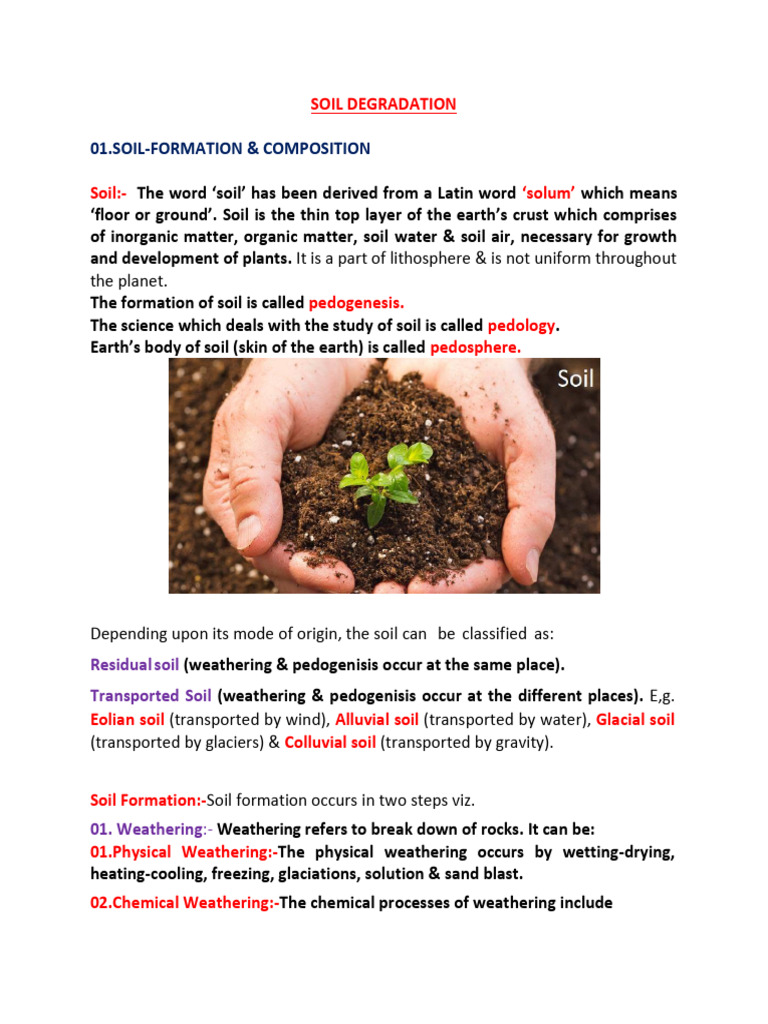 Soil Degradation | PDF | Soil | Erosion