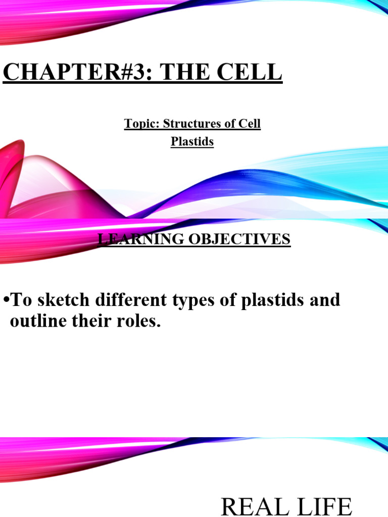 Bio PPT 3 | PDF | Social Science | Science & Mathematics