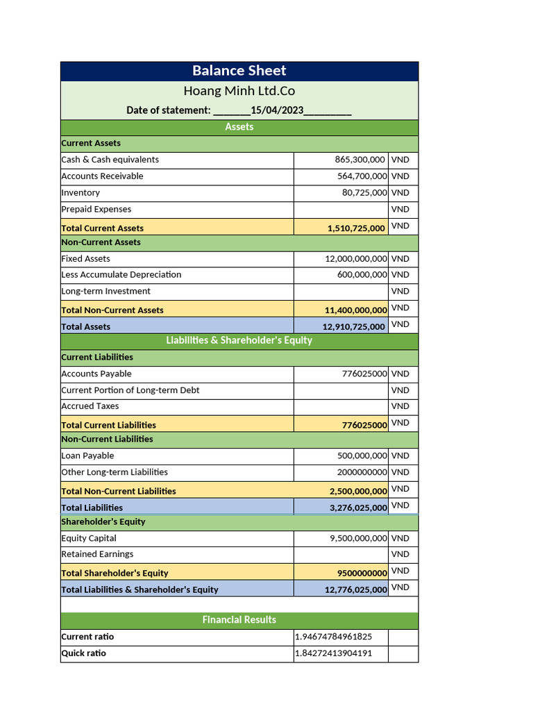 Balance Sheet and Income Statement | PDF | Equity (Finance) | Balance Sheet