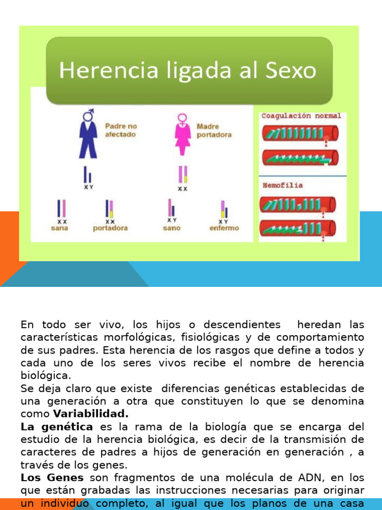 6 Herencia Ligada Al Sexo | PDF | Herencia | Sexo