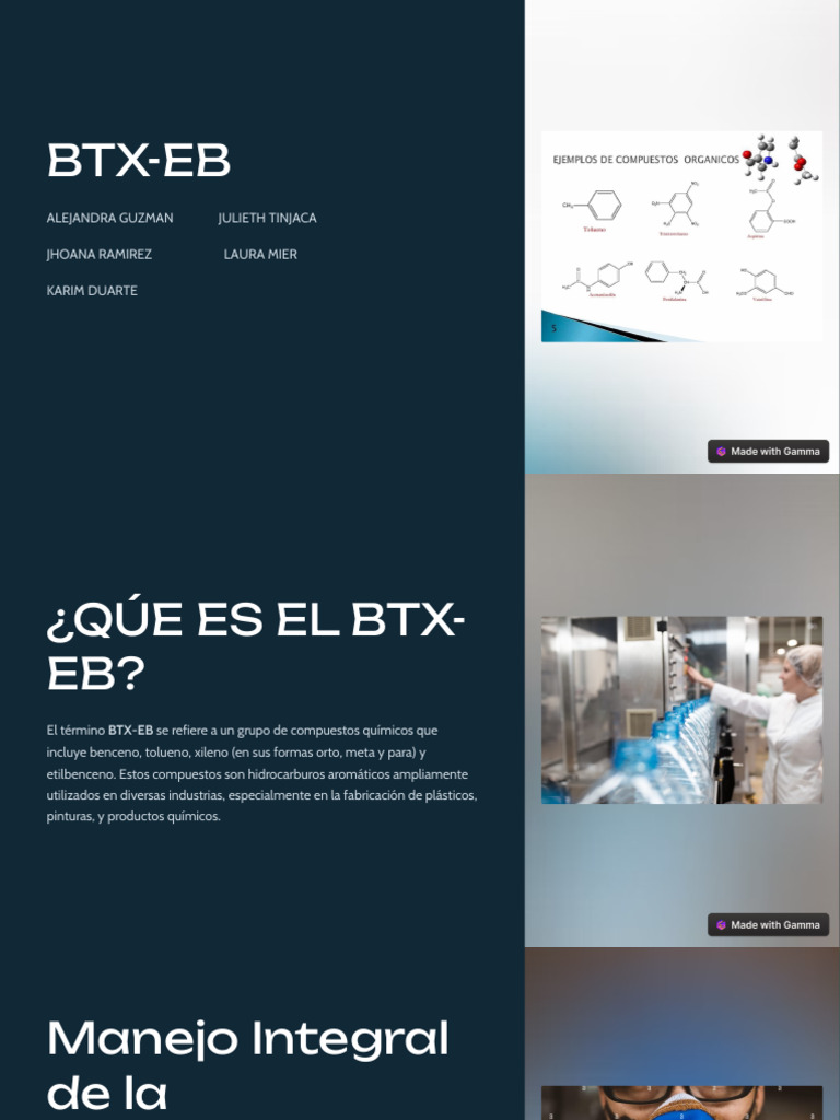 BTX Eb | PDF | Neurología | Terapia física