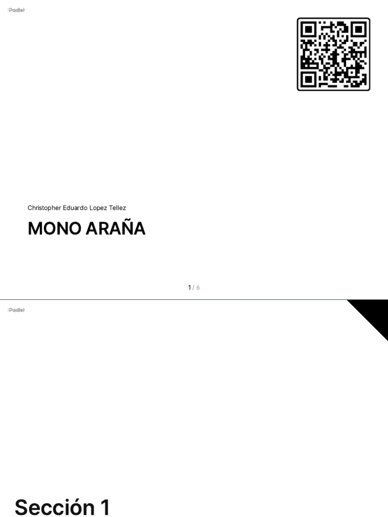 Mono Araña | PDF