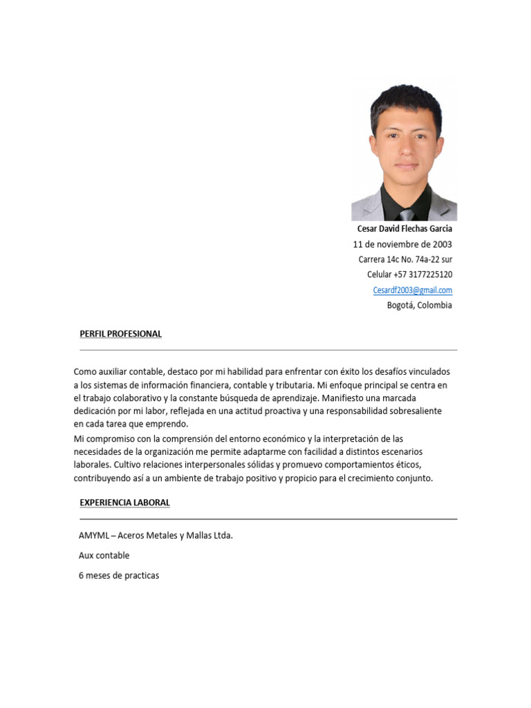 Cesar David Flechas Garcia CV | PDF