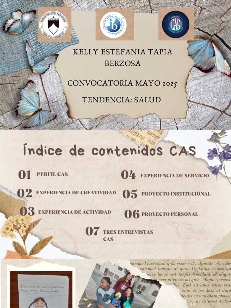 Perfil Cas 2025 | PDF | Cognición