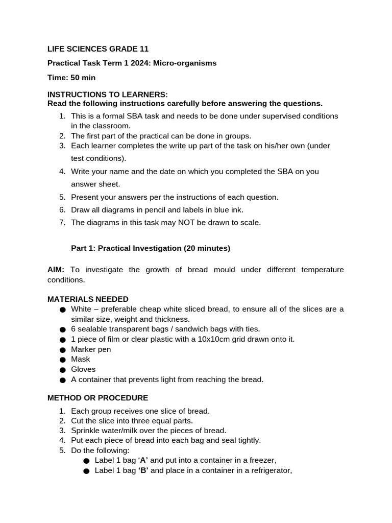 GRADE 11 SBA Part 1 2025 | PDF