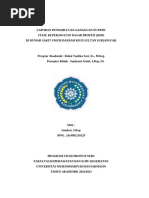 Pengkajian Nutrisi ABCD dalam Keperawatan | PDF | Kesehatan Holistik