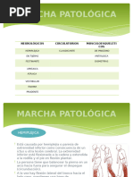 Marchas Patologicas | PDF | Pie | Medicina CLINICA