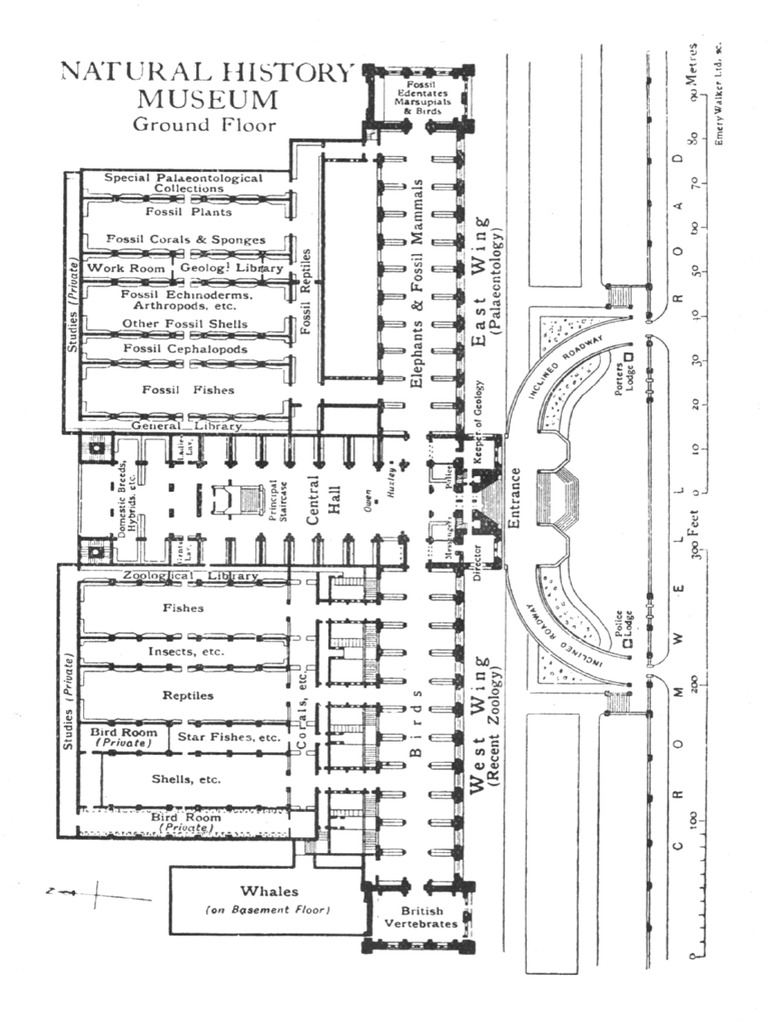 London Natural History Museum Map | PDF