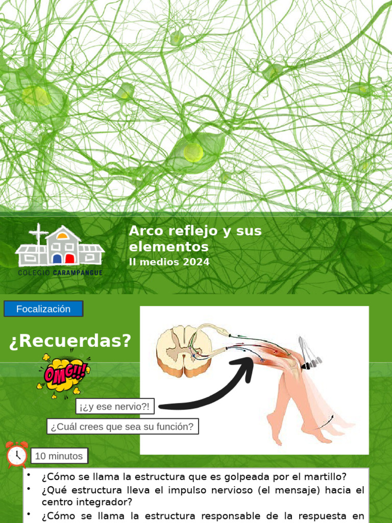 PPT2 Receptores Sensitivos | PDF | Sistema nervioso | Neurociencia