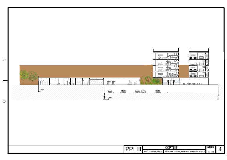 Corte Longitudinal | PDF