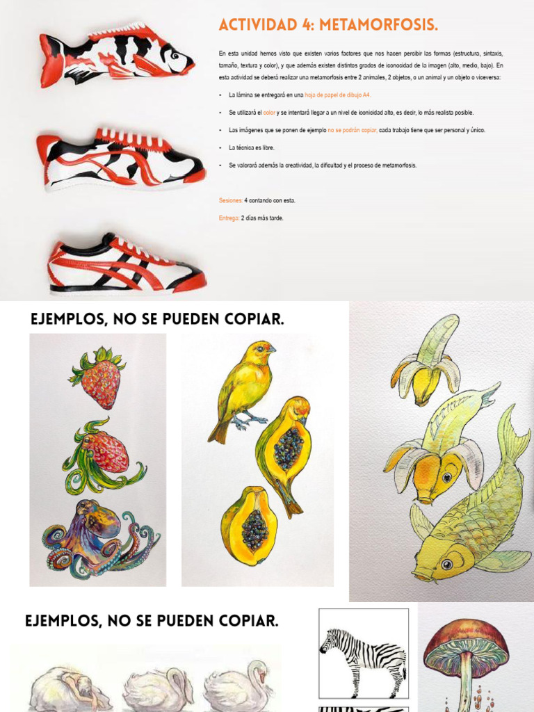 ACT 4 METAMORFOSIS | PDF