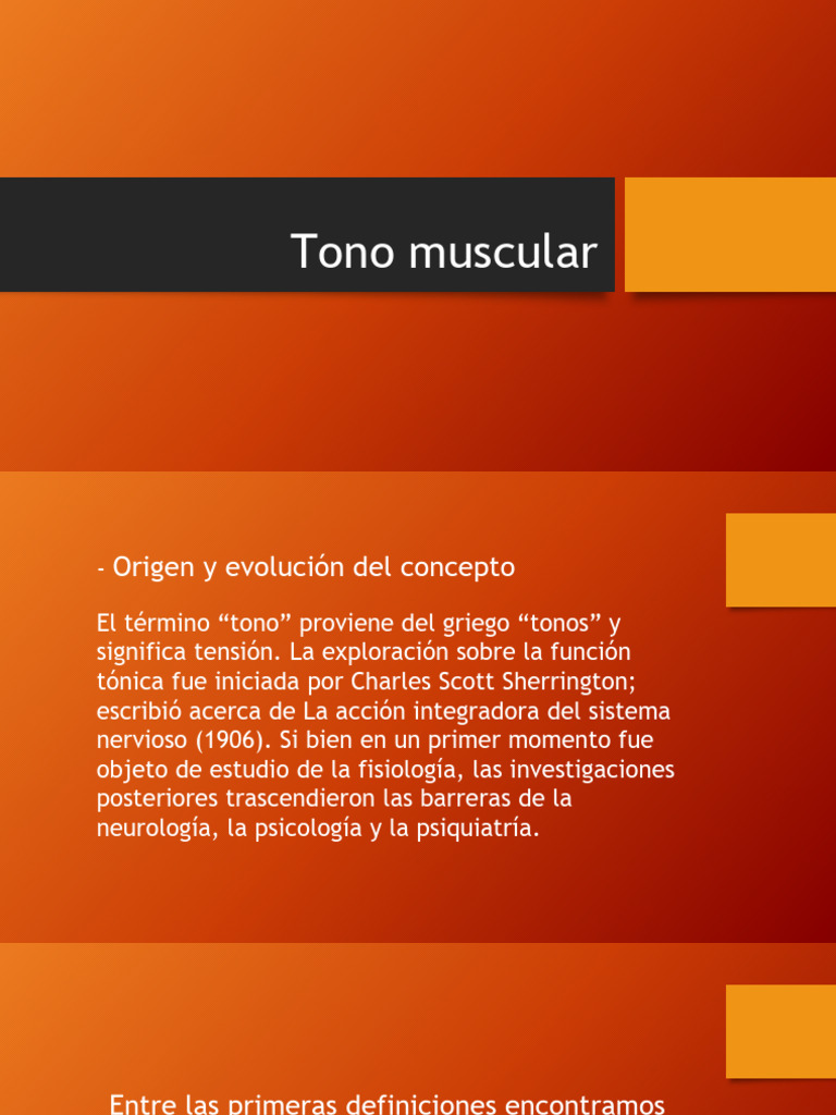 U3 - Tono muscular | PDF | Hombro | Sistema musculoesquelético
