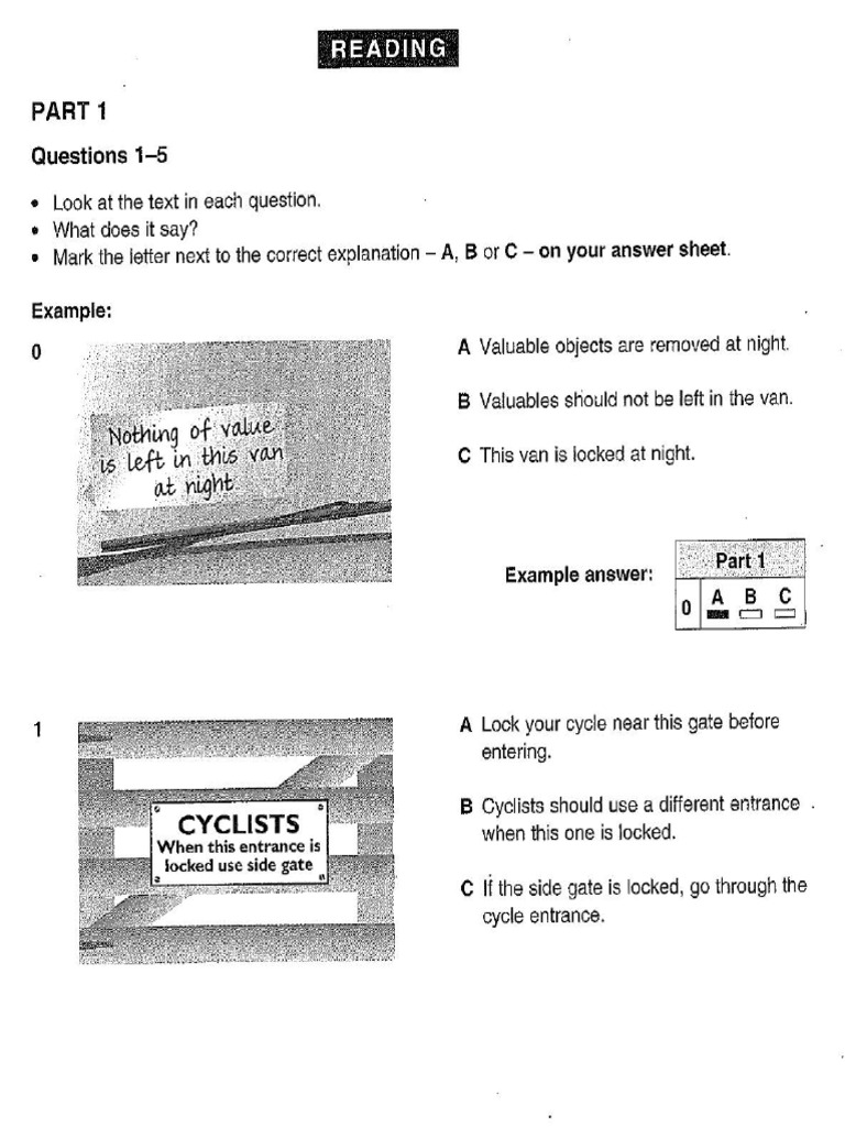 Reading Practice | PDF