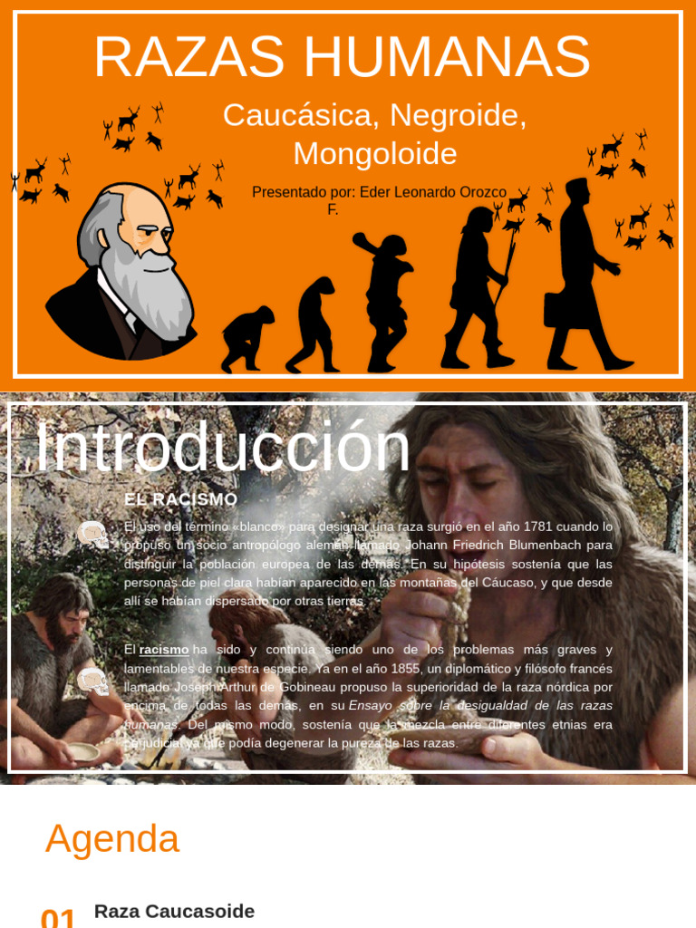 Exposicion Razas Humanas | PDF | Raza (categorización humana ...