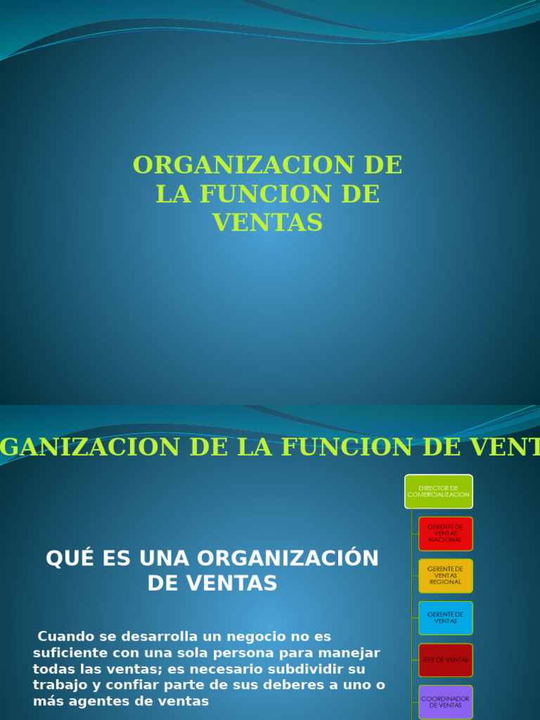 La Organizacion de La Funcion de Ventas | PDF | Business | Ventas