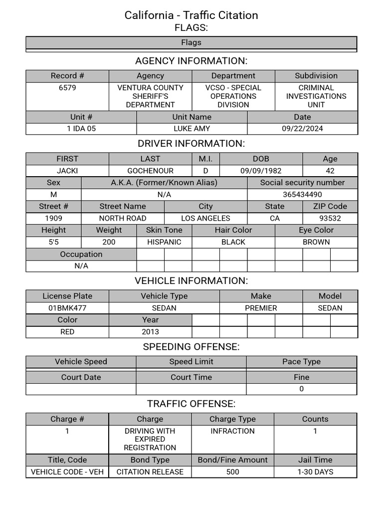 Traffic Citation 115 #6579 | PDF | Traffic Ticket | Traffic