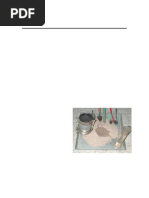 MDD and OMC Test Procedures | PDF