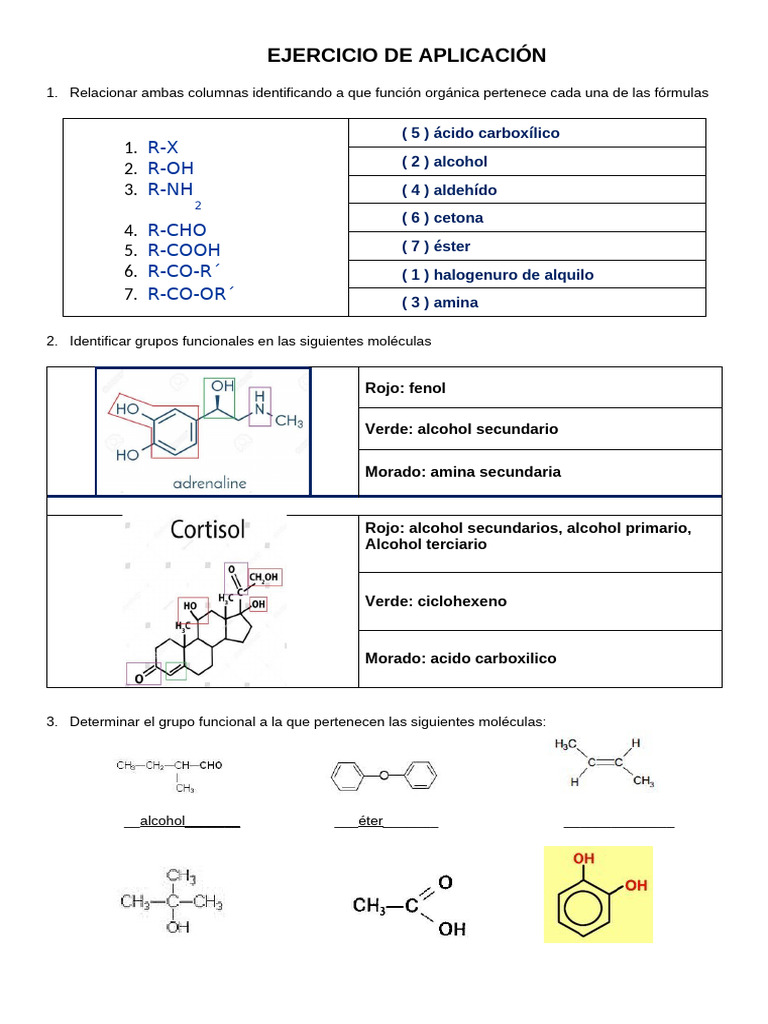 8 TALLER 5 Ejercicio de Aplicación Grupo Funcionales QO | PDF