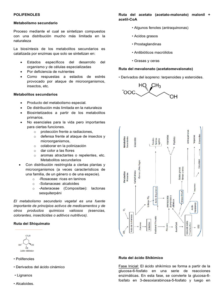 POLIFENOLES | PDF | Metabolismo