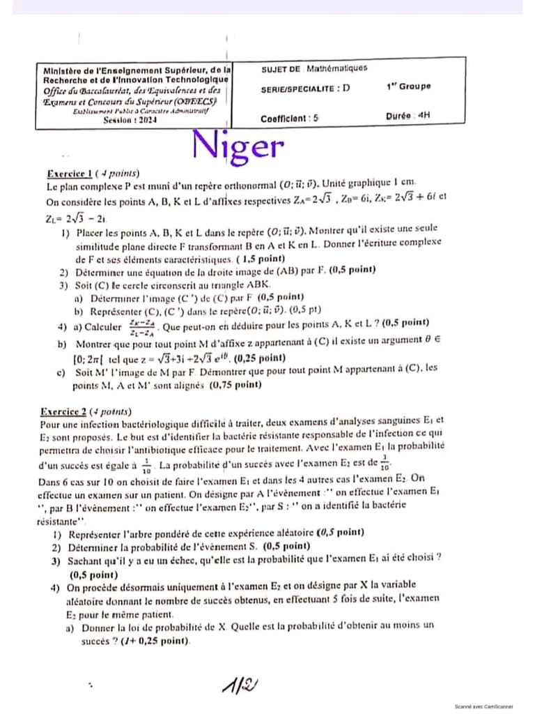 Sujet Mathématique Bac Séries D Niger 2024 | PDF