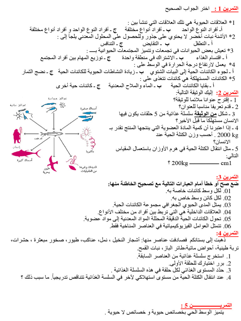 Dzexams Docs 2am 900432 | PDF