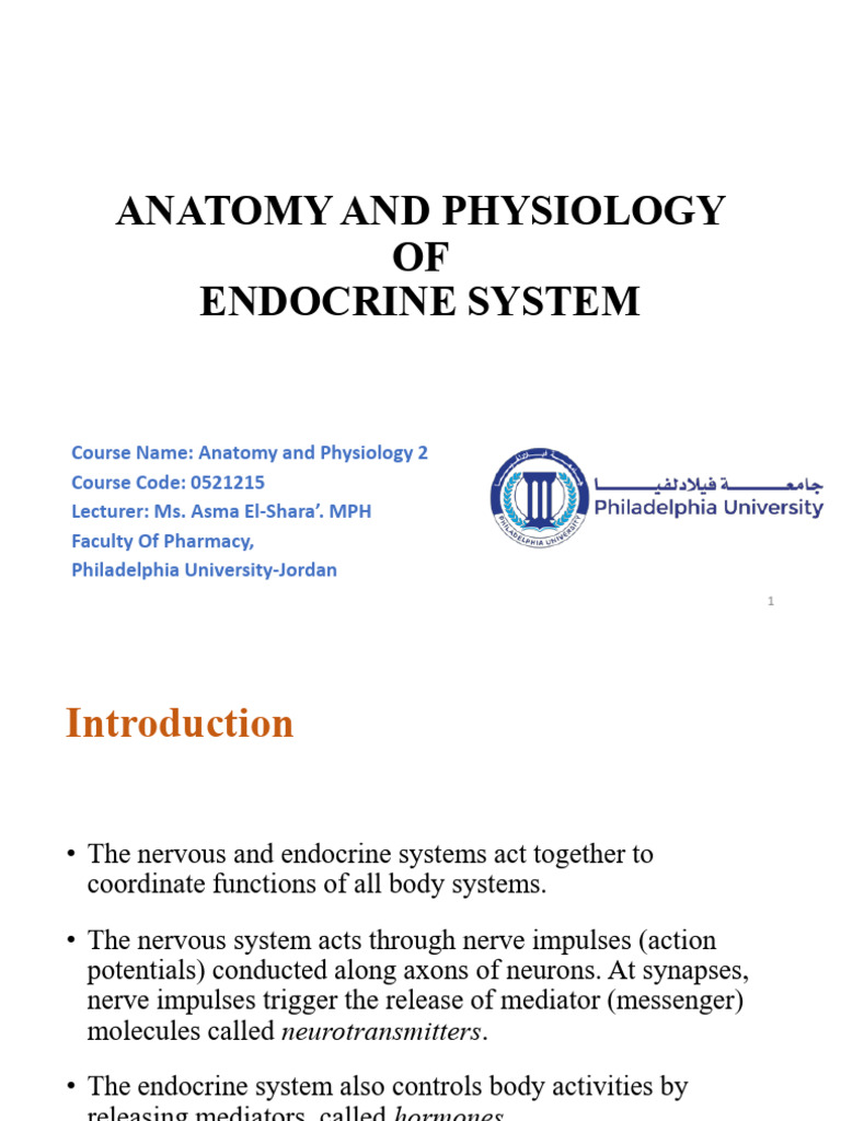Week 13-16 Anatomy and Physiology of The Endocrine System Ms - Asma El ...