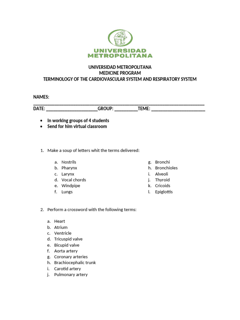 Anatomy Wordshop 3a-D | PDF