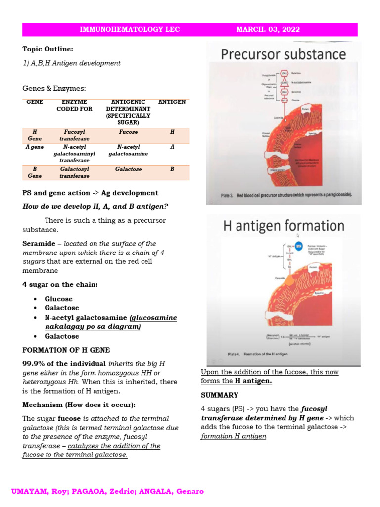 Split 4313571593497425083 | PDF | Cell Biology | Biology