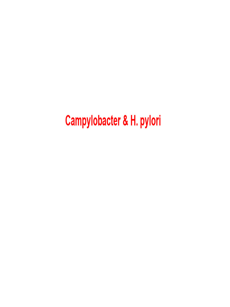 5as - Campylobacter - H.pylori 2 | PDF | Clinical Medicine ...