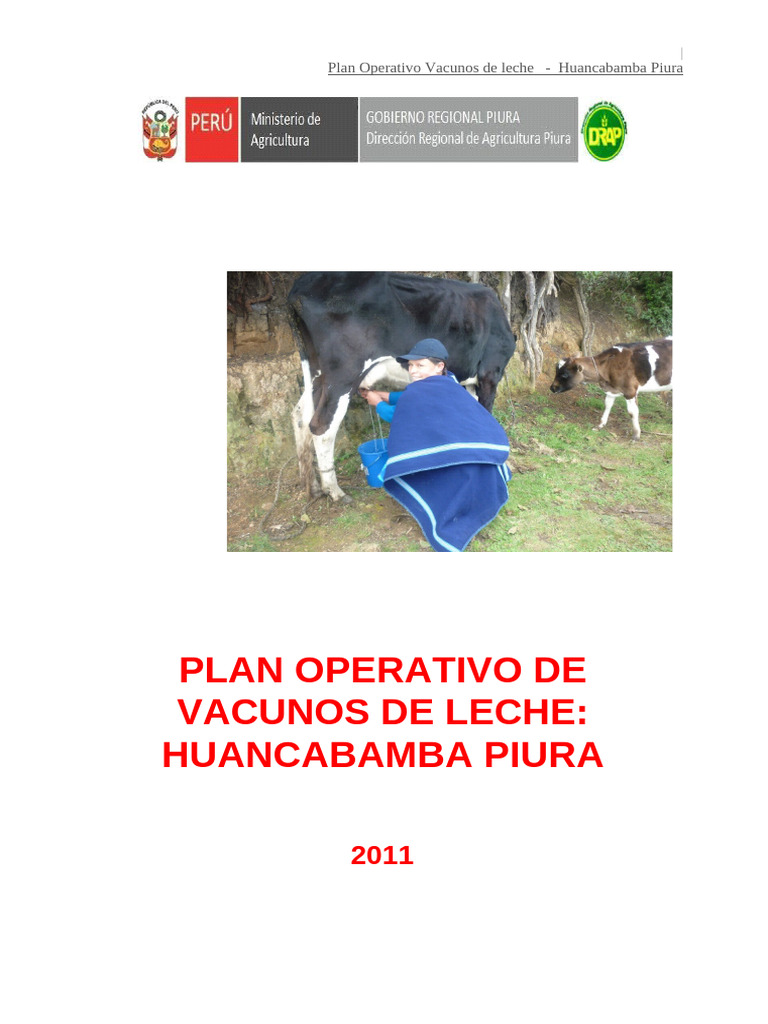 Plan Operativo de Leche | PDF | Leche | Productos lácteos