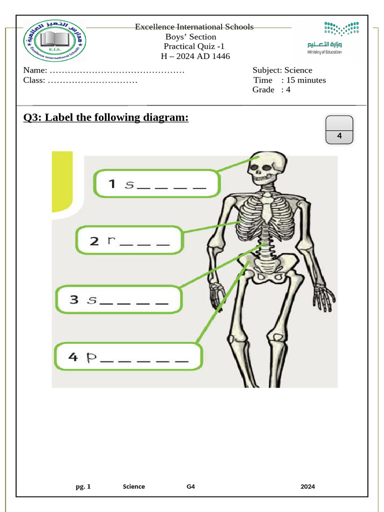 Grade 4 Science Practical Quiz 2024 | PDF