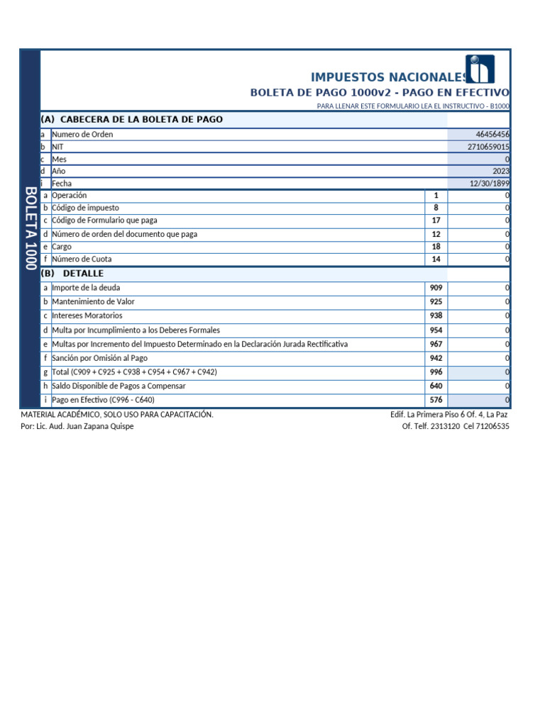 Boleta de Pago 1000: Instrucciones y Detalles | PDF