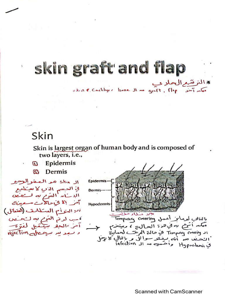 Skin Graft and Flap | PDF