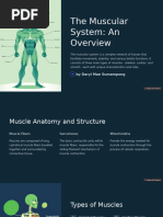 Muscular System Grade 4 Science | PDF | Wellness
