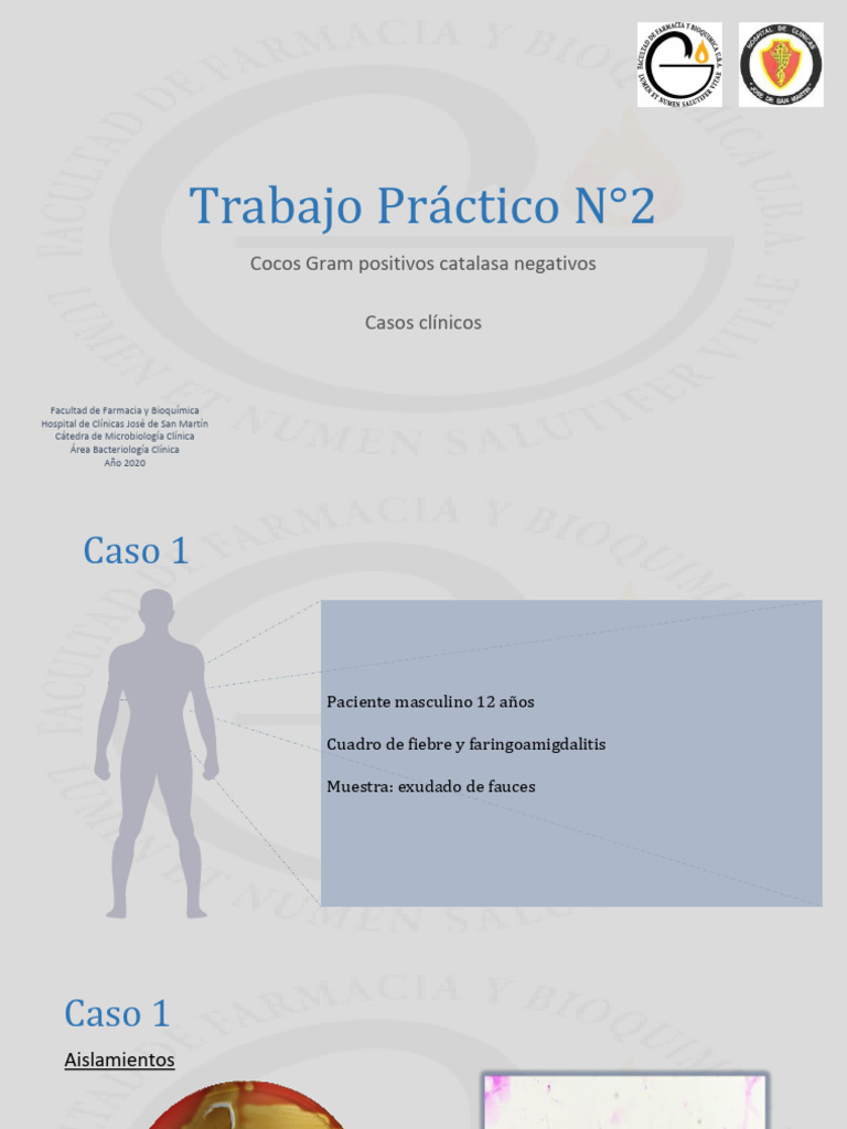 Casos Clinicos para Resolver. Trabajo Práctico N°2 FINAL | PDF | Estreptococo | Epidemiología